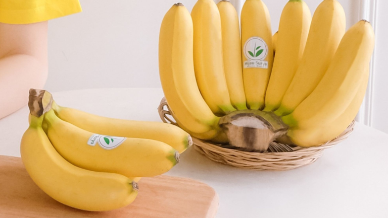 Apa Yang Membuat Pisang Barangan Spesial? – PT Hijau Surya Biotechindo
